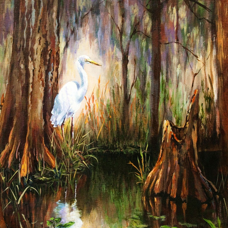 Swamp Scene - Etsy