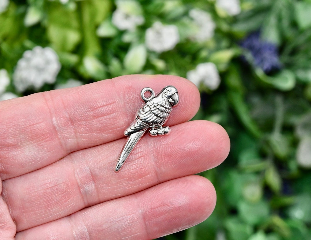 1 Macaw Parrot Silver Tone Charm SC2262 - Etsy