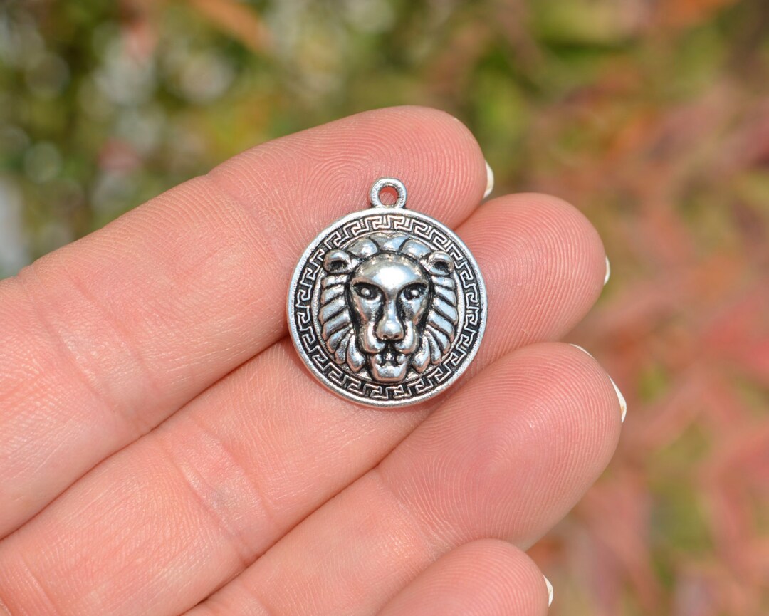 BULK 20 Silver Lion Charms SC3811 - Etsy