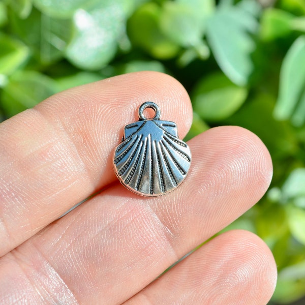 Seashell Charms - Etsy