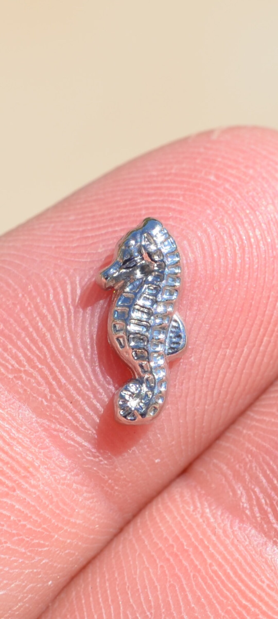 1 Memory Locket Silver Seahorse Charm FL149 - Etsy