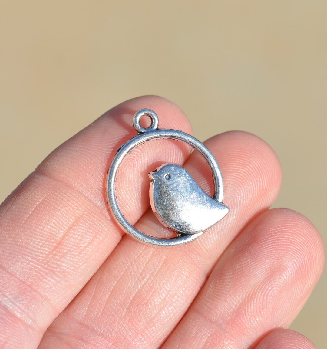 1 Bird on a Perch Silver Tone Charm SC5153 - Etsy