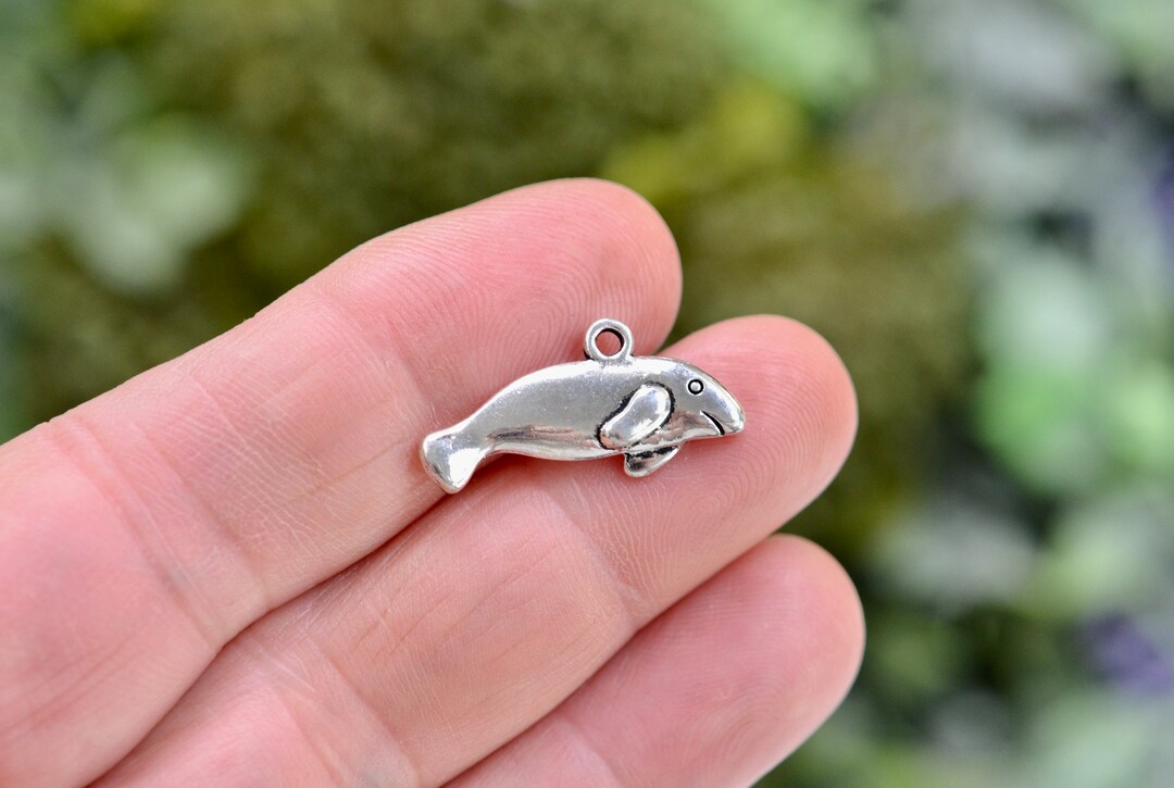 5 Walrus, Silver Tone Charms SC5830 - Etsy