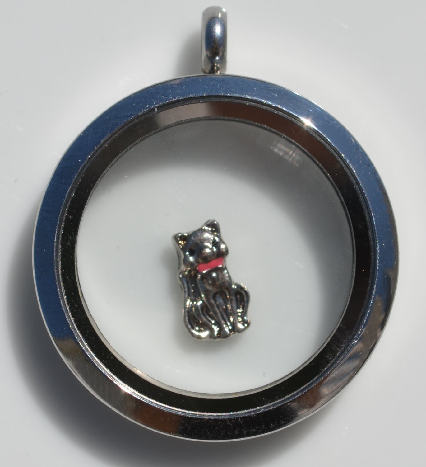 1 Memory Locket Cat With a Pink Collar Charm FL270 - Etsy
