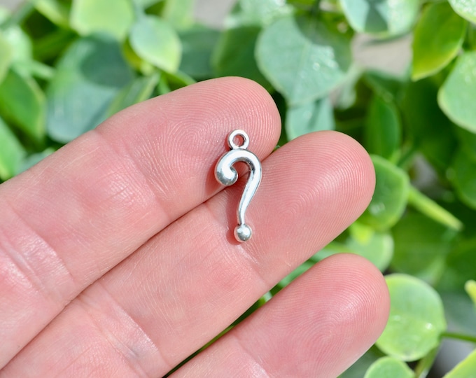 Silver Question Mark Necklace Sterling Silver Question Mark Charm on a Delicate Sterling Silver ...