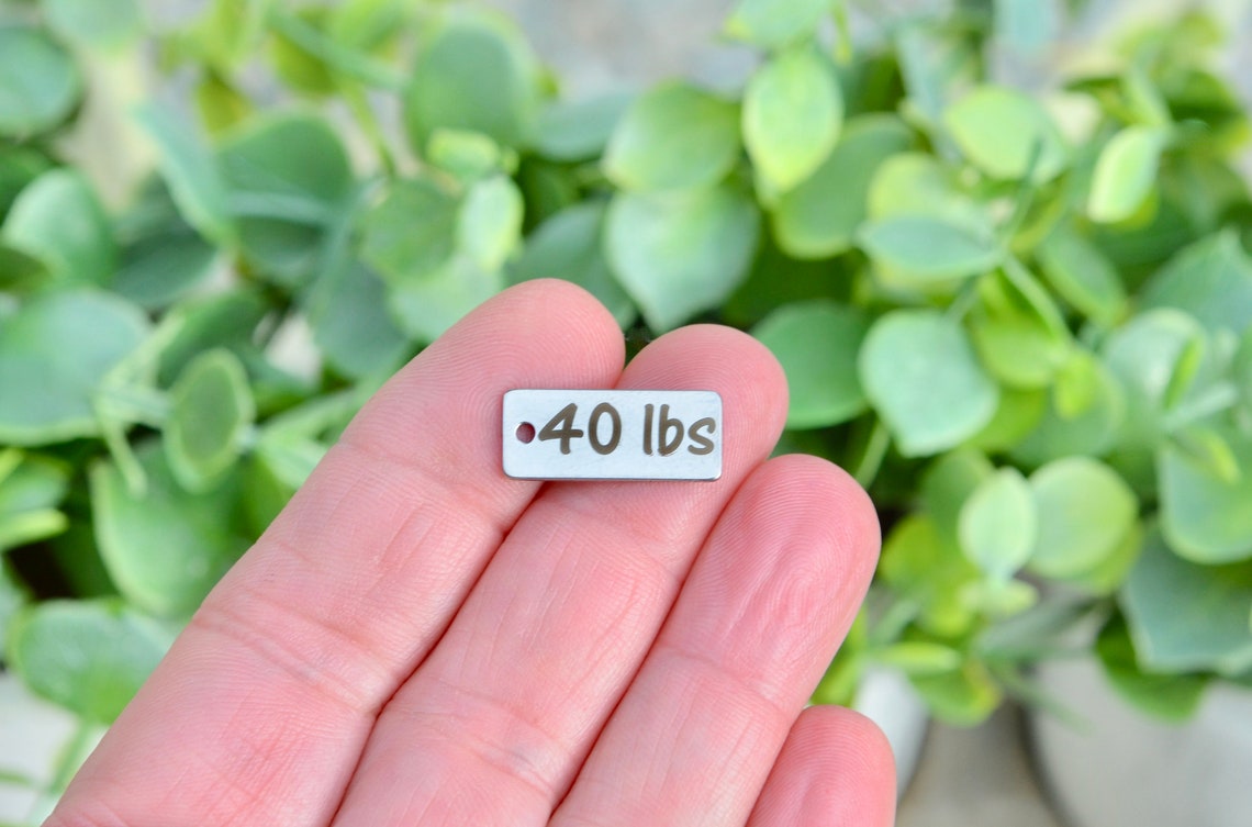 40 Lbs Weight Watcher Custom Laser Engraved Stainless Steel Rectangle ...