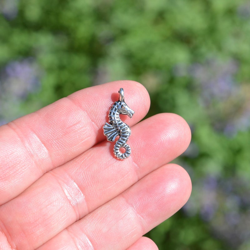 Sealife Pandora Charms - Etsy