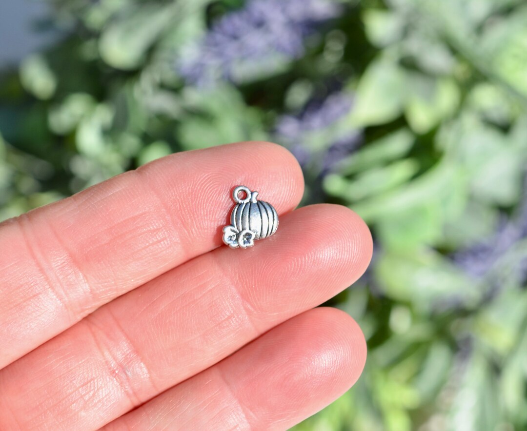 10 Pumpkin Silver Tone Double Sided Charms SC3143 - Etsy