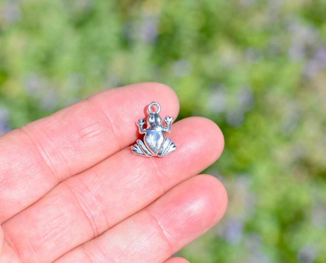 10 Frog Silver Tone Charms SC2548 - Etsy
