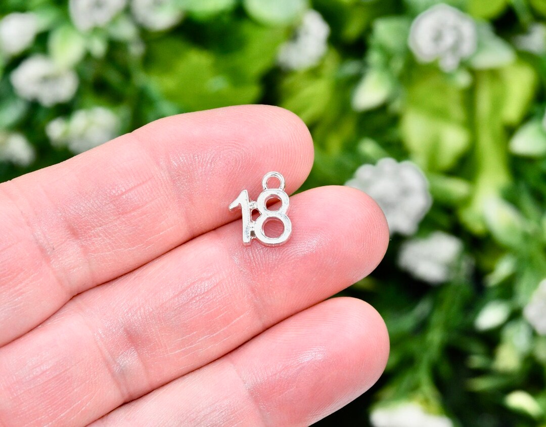 BULK 50 Number 18 Silver Tone Charms SC1878 - Etsy