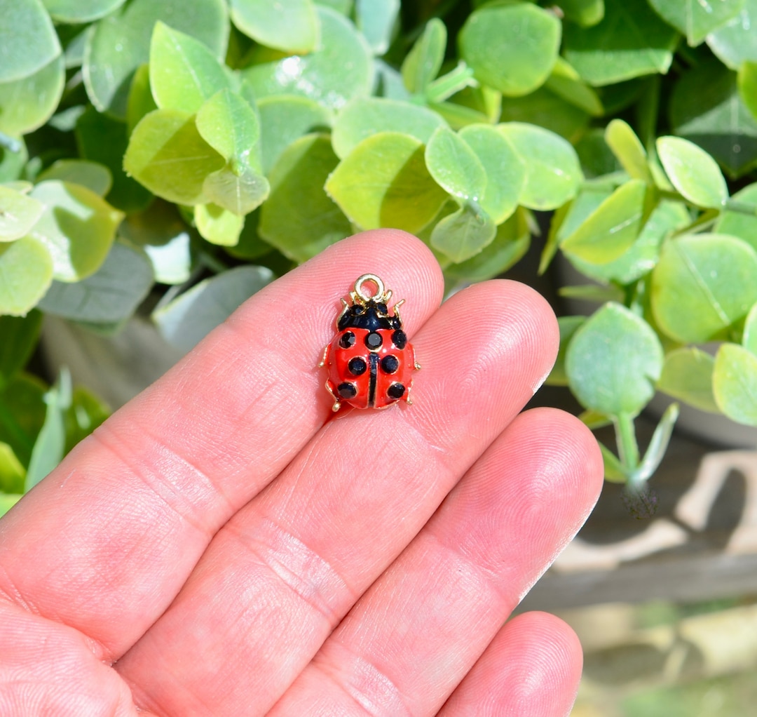 BULK 20 Red and Black Enamel Ladybug Gold Tone Charms GC3670 - Etsy