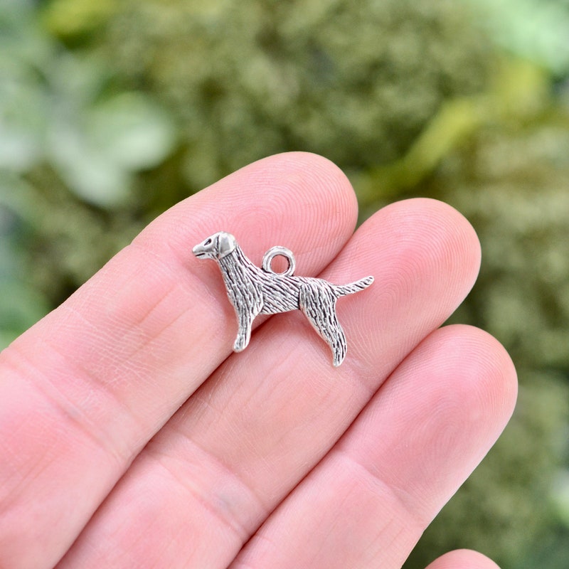 Golden Retriever Gifts - 60+ Gift Ideas for 2025