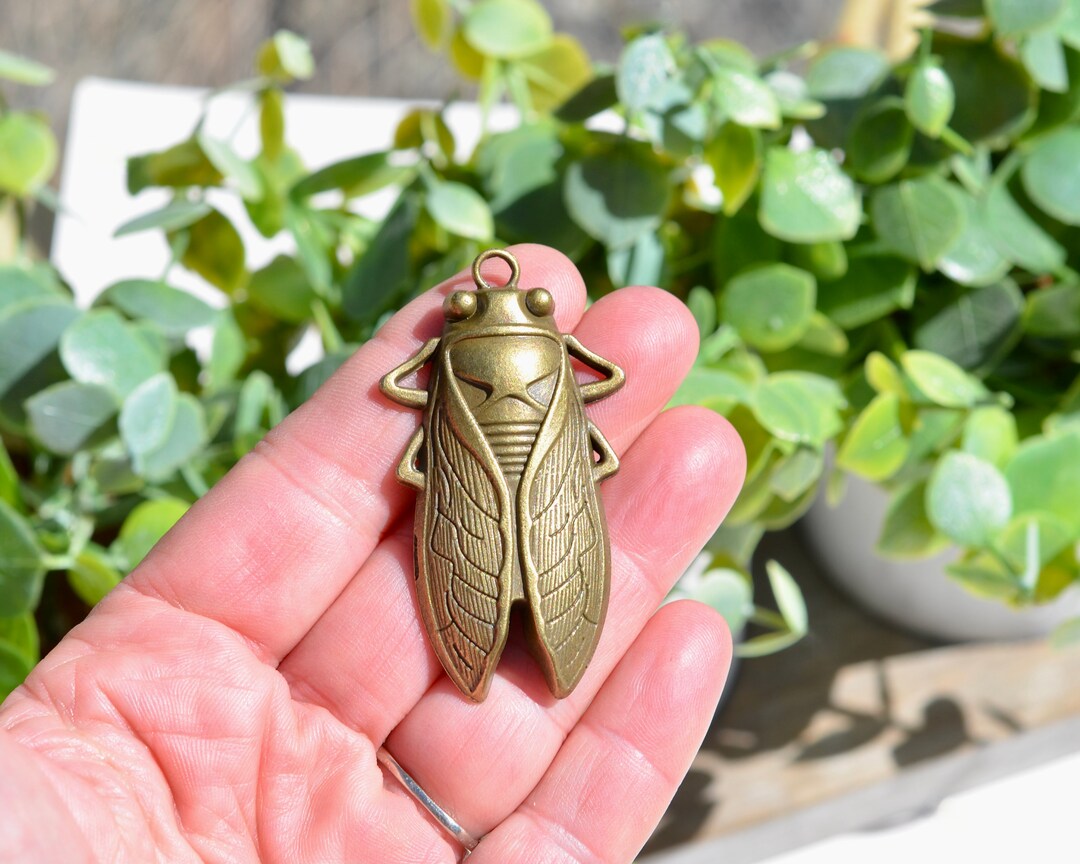 BULK 10 Cicada Locust Large Bug Bronze Tone Pendants BC2685 - Etsy