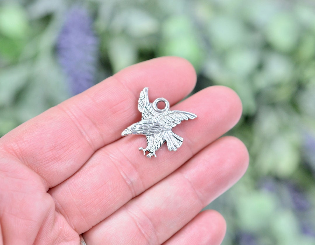 BULK 20 Hawk Silver Tone Charms SC2481 - Etsy