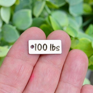 100 Lbs Weight Watcher Custom Laser Engraved Stainless Steel Rectangle ...