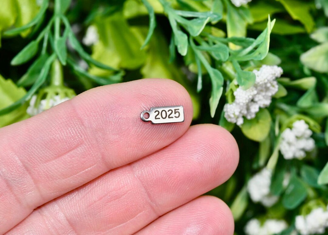 Year 2025 Custom Laser Engraved Stainless Steel Tiny Rectangle Charm ...