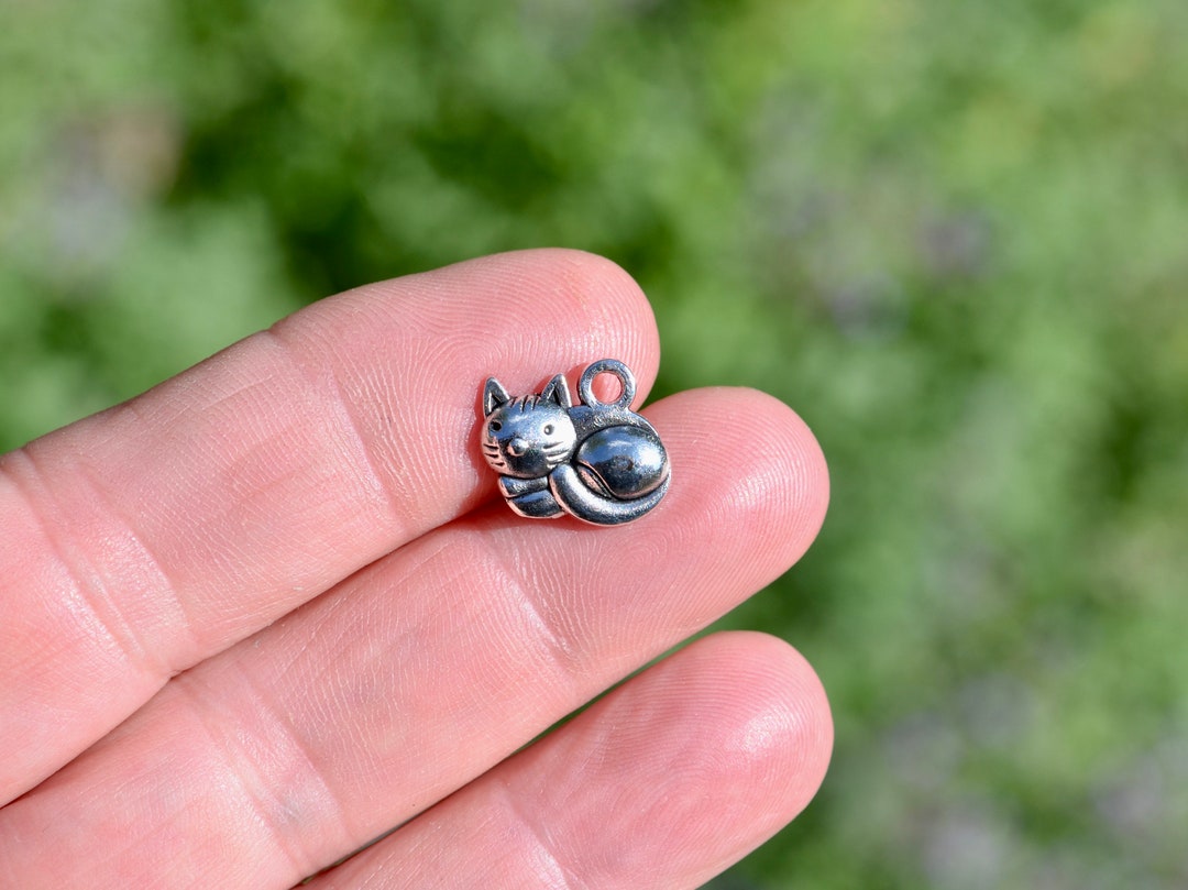 10 Silver Cat Charms SC1520 - Etsy