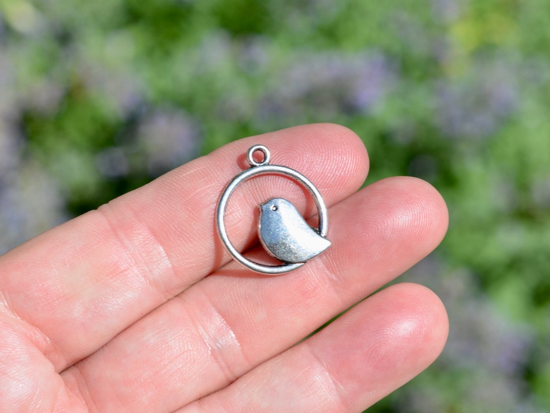 1 Bird on a Perch Silver Tone Charm SC5153 - Etsy