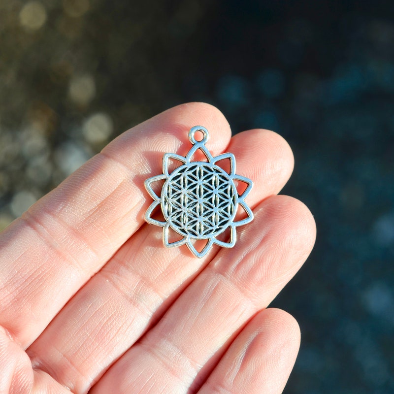 6608 - Etsy