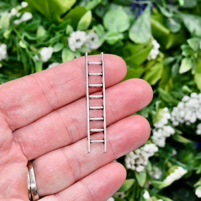Silver Ladder - Etsy
