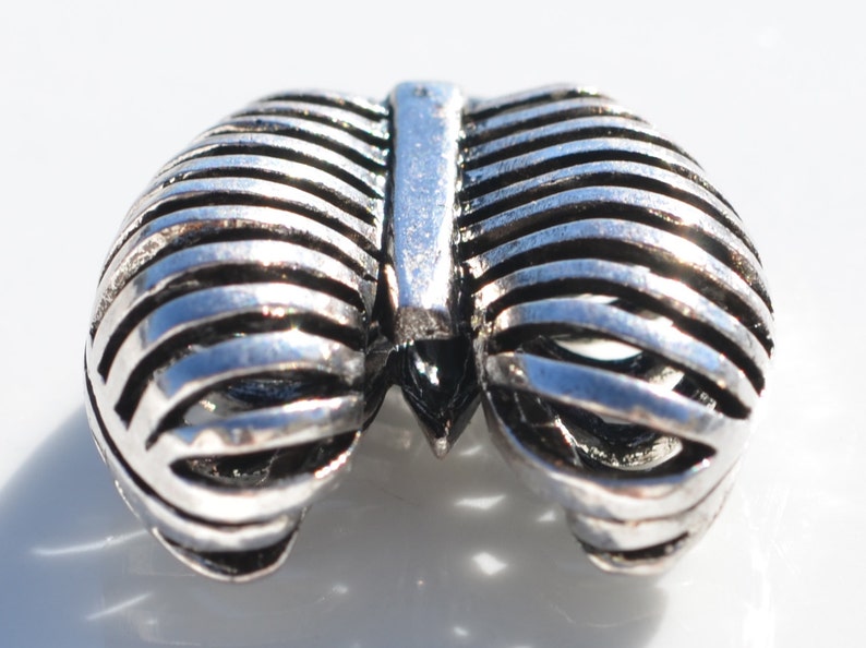 1 Anatomically Correct Silver Rib Cage Charm SC5805 - Etsy