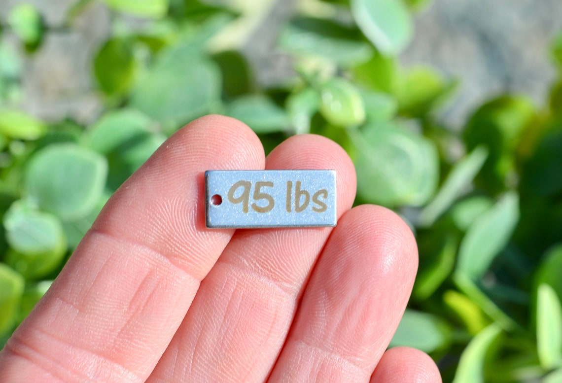 95 Lbs Weight Watcher Custom Laser Engraved Stainless Steel Rectangle ...