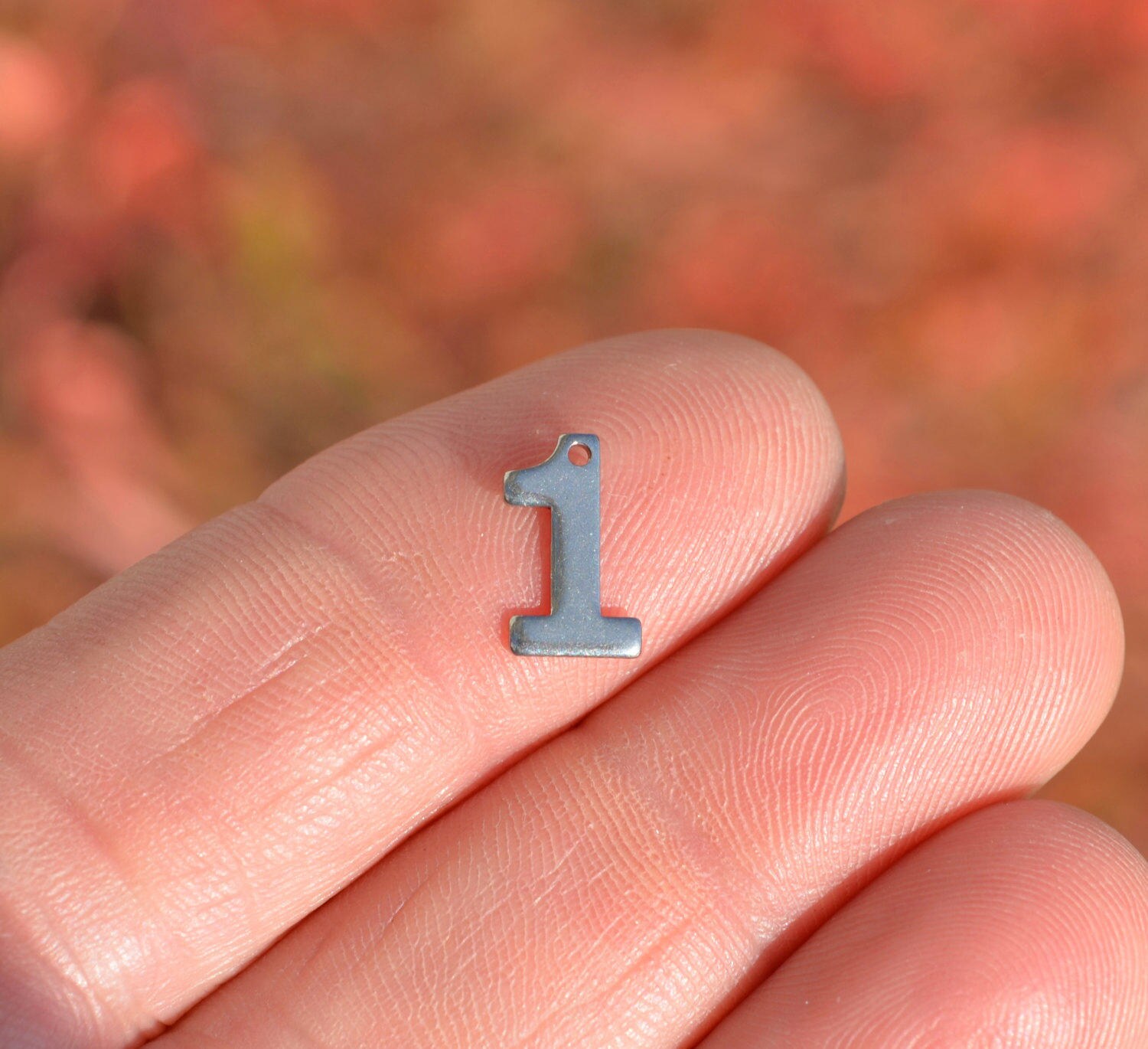 1 Stainless Steel Number 1 Charm SC5077 | Etsy