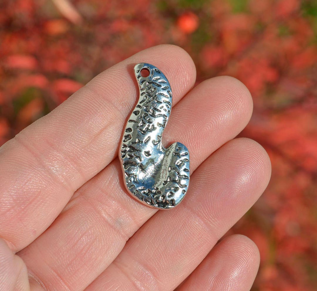 5 Anatomically Correct Silver Pancreas Charm SC5139 - Etsy