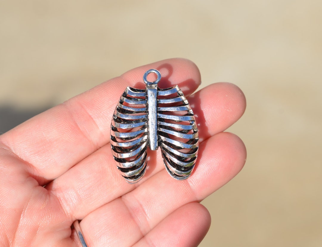1 Anatomically Correct Silver Rib Cage Charm SC5805 - Etsy