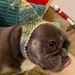 CROCHET PATTERN Frenchie Ear Warmer With Tassels - Etsy Canada