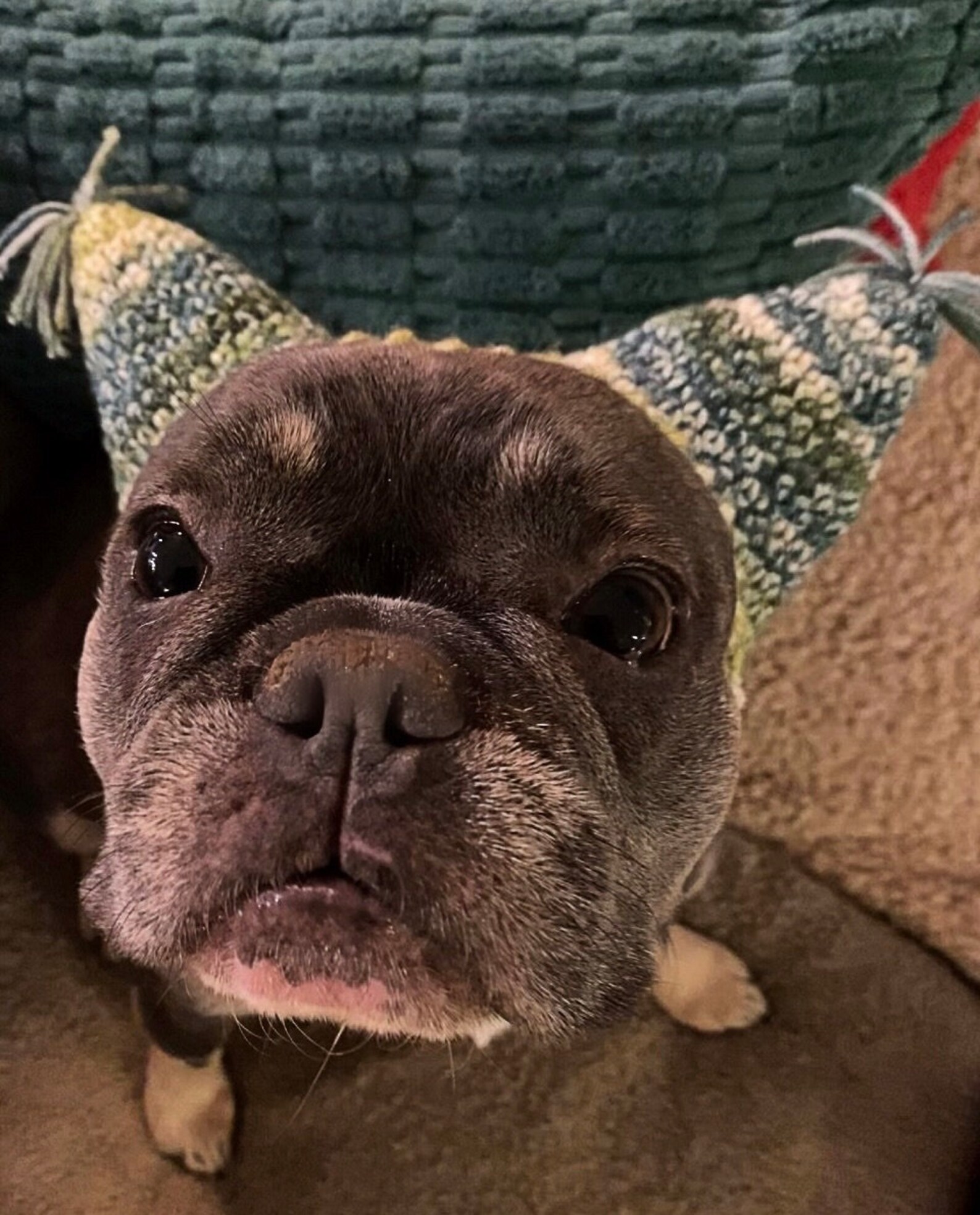 CROCHET PATTERN Frenchie Ear Warmer With Tassels - Etsy