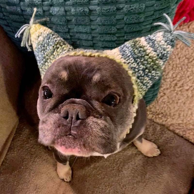 Knit Dog Ear Cover - Etsy