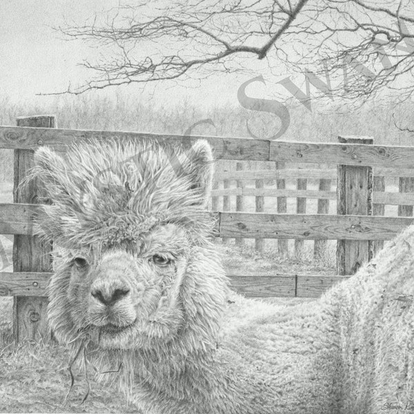 Graphite Drawing - Etsy