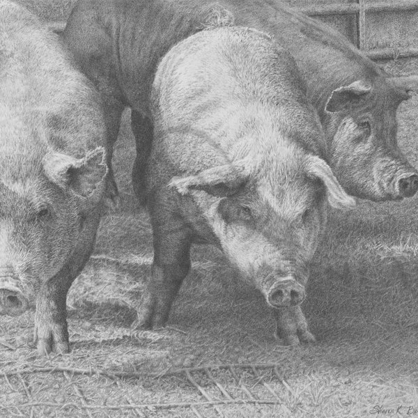 Graphite Drawing - Etsy