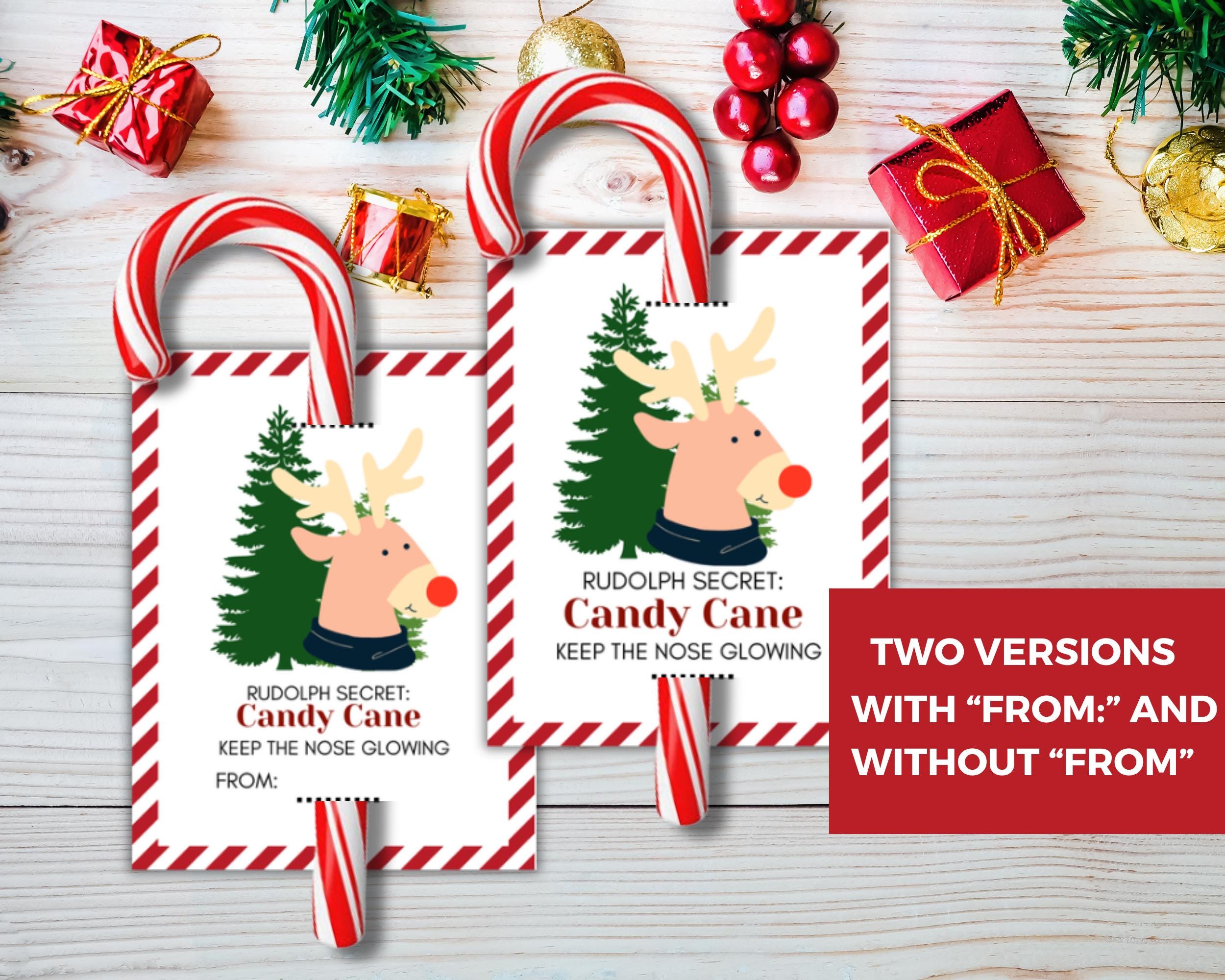 Printable Christmas Candy Cane Holder Gift Tags, Candy Cane Gram Tag ...