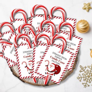 Printable Christmas Candy Cane Holder Gift Tags, Candy Cane Gram Tag ...