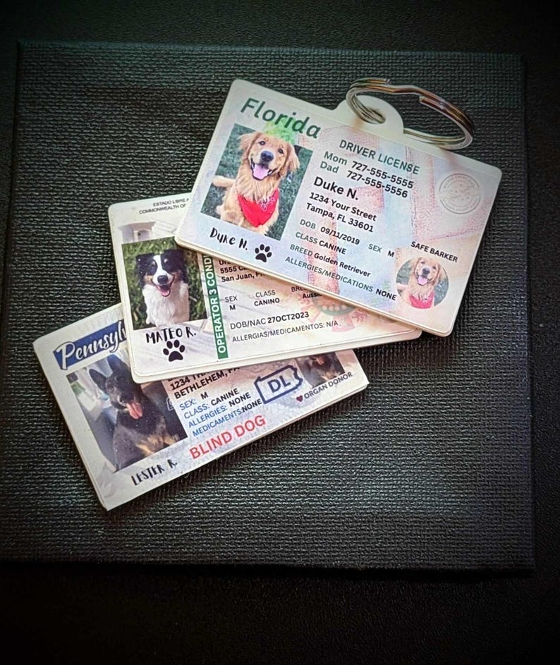 Drivers License Pet ID Tags - Etsy