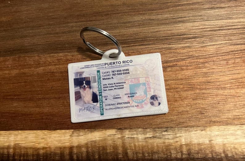 Drivers License Pet ID Tags - Etsy