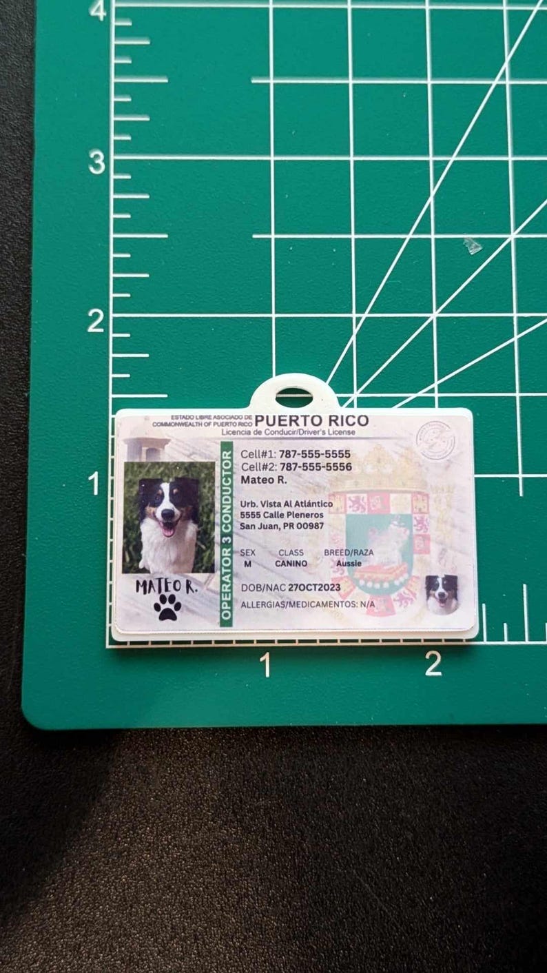 Drivers License Pet ID Tags - Etsy