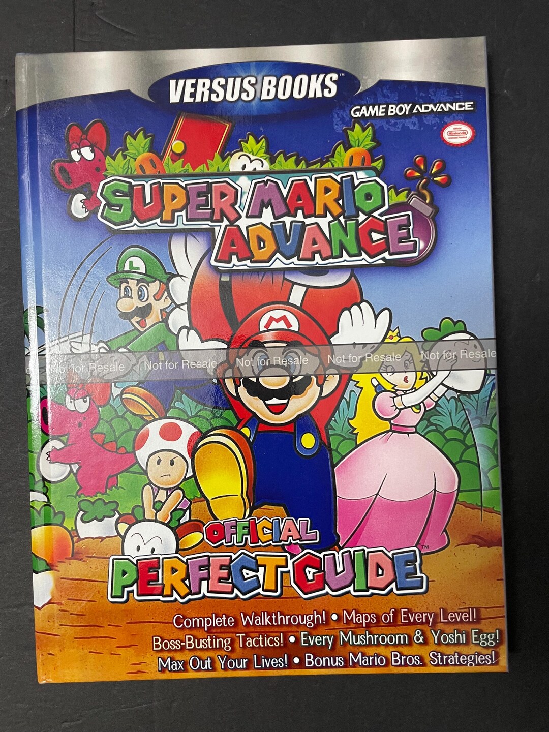 Super Mario Advance - Perfect Guide - Versus Books - CUSTOM HARDCOVER ...