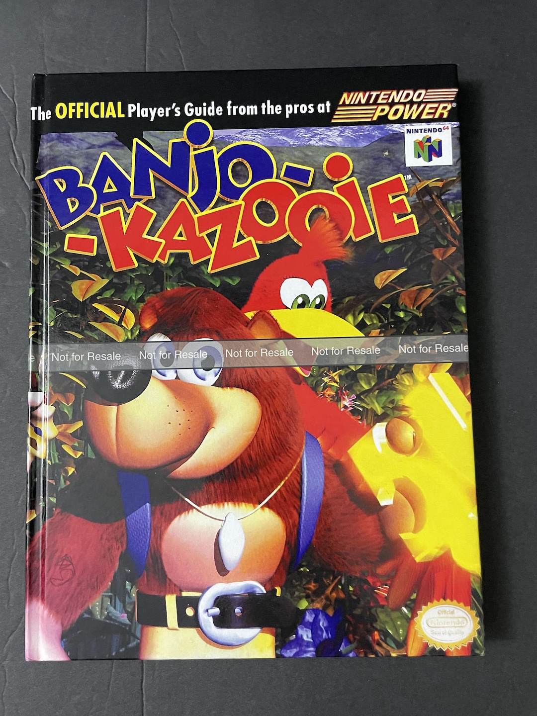 Banjo-kazooie - Nintendo Official Player's Guide - CUSTOM HARDCOVER - Etsy