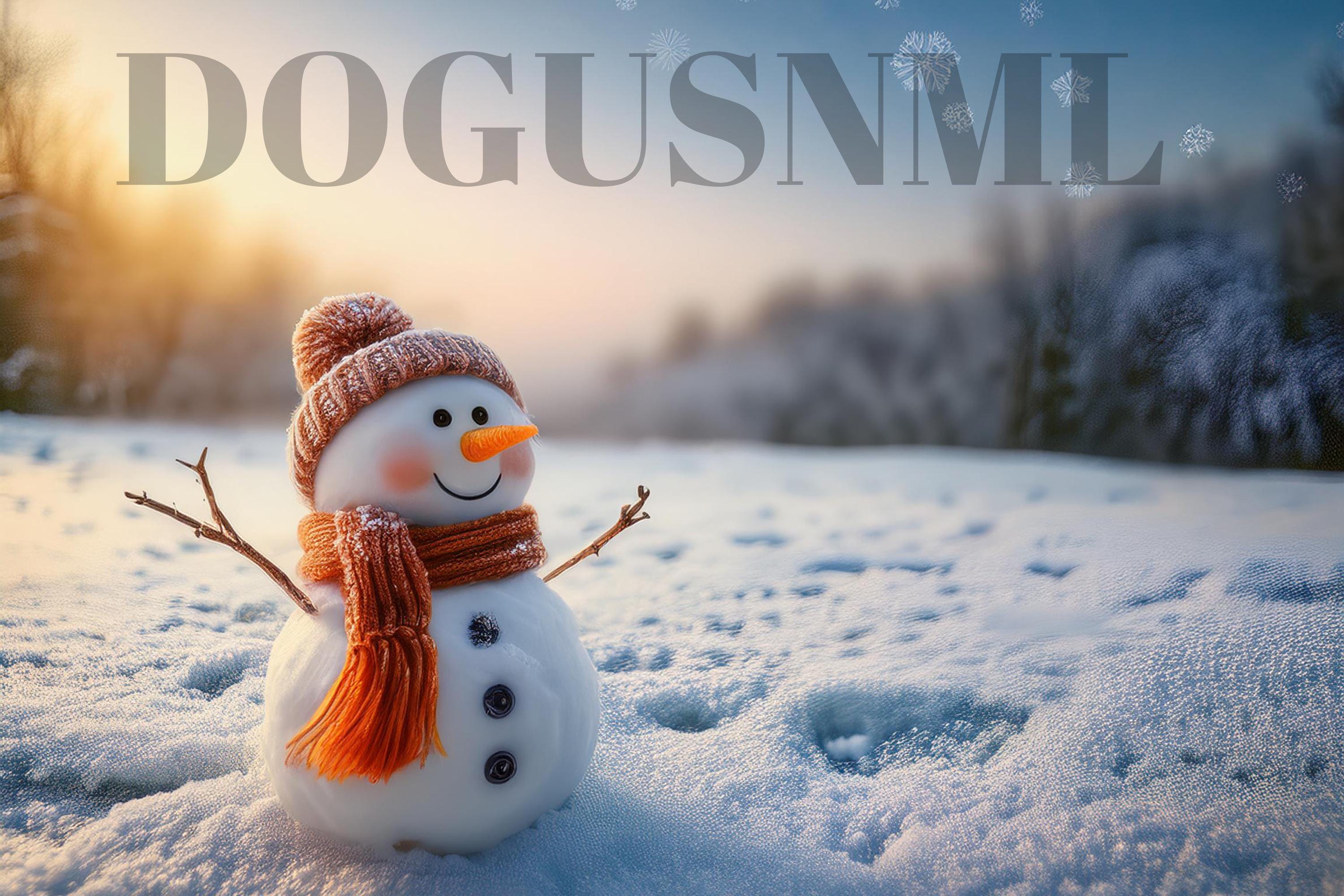 5 Little Snowman Backdrop,winter Background,christmas Composite ,mini ...