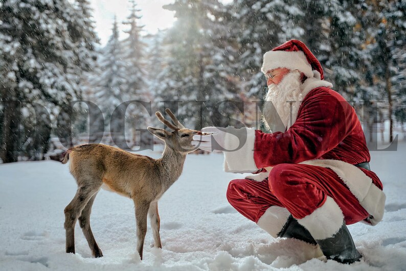 Santa Claus Feeding Reindeer | Winter Wonderland Backdrop (digital ...