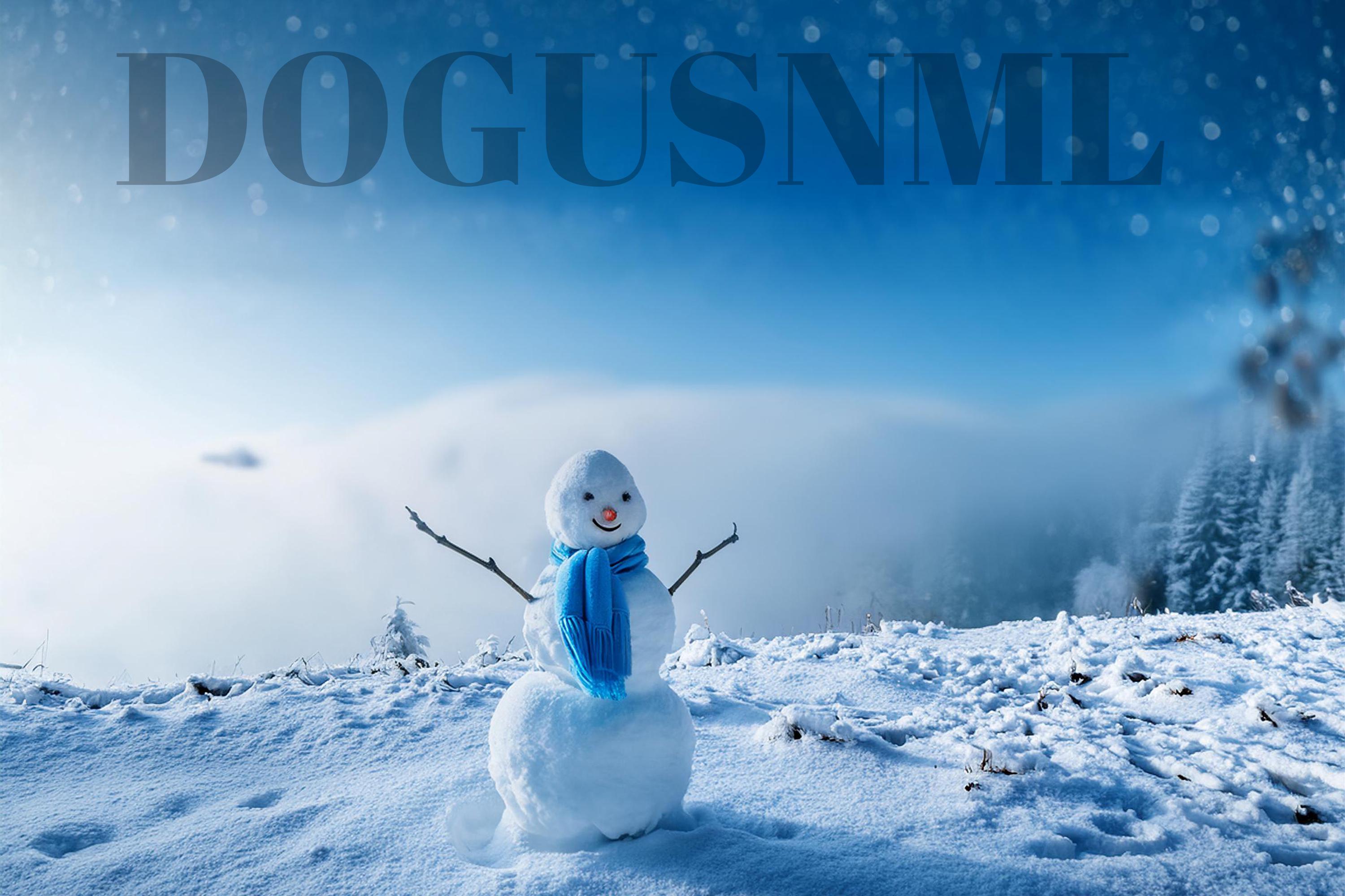 5 Little Snowman Backdrop,winter Background,christmas Composite ,mini ...