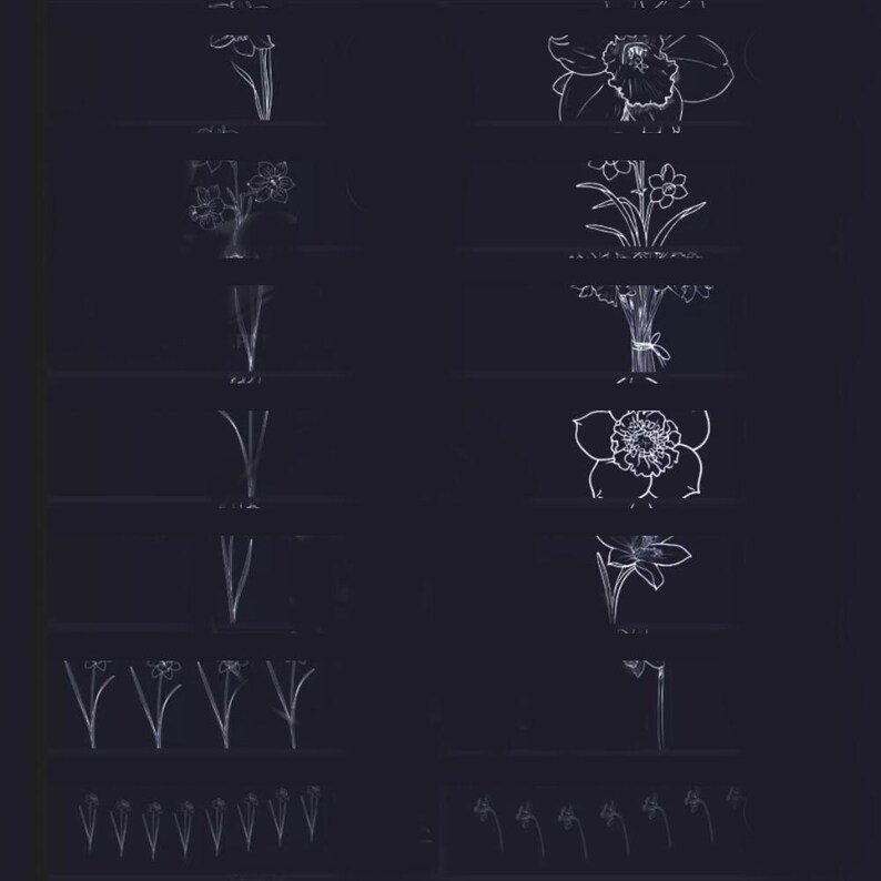 Daffodil Flower Line Art Brushes for Procreate & Photoshop - Floral ...