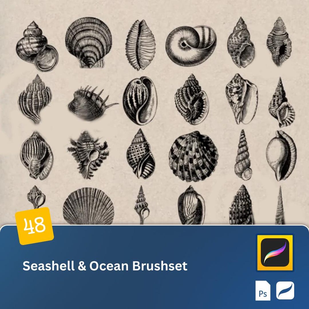 48 Seashell & Ocean Procreate Brushes - Fun Marine Elements for Beach ...