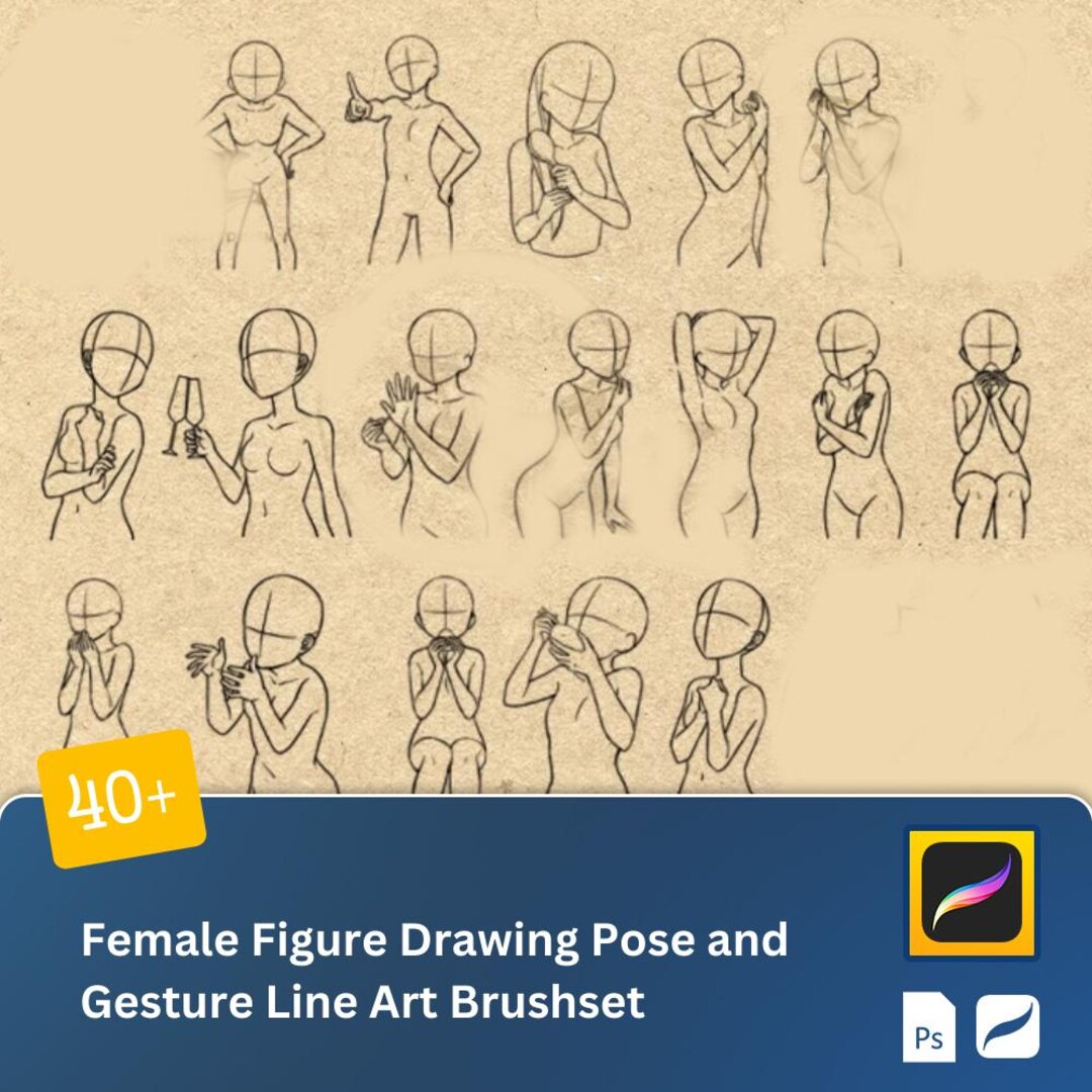40+ Female Figure Drawing Procreate and PS Brushset Pose and Gesture Line Art Brushes for ...