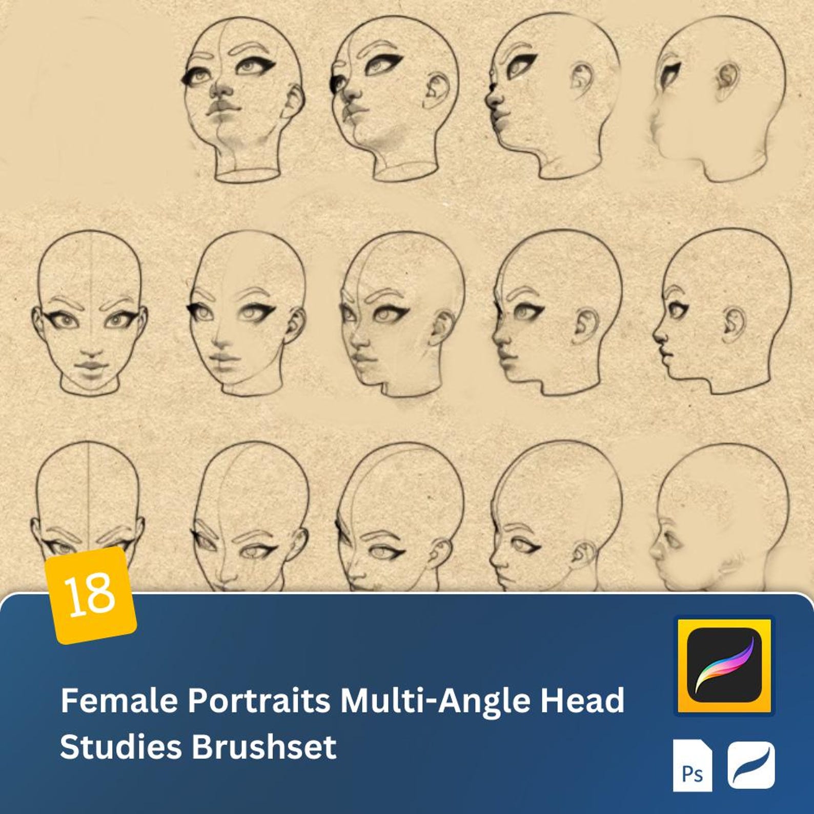 Female Portraits Multi-angle Head Studies Procreate & Photoshop ...