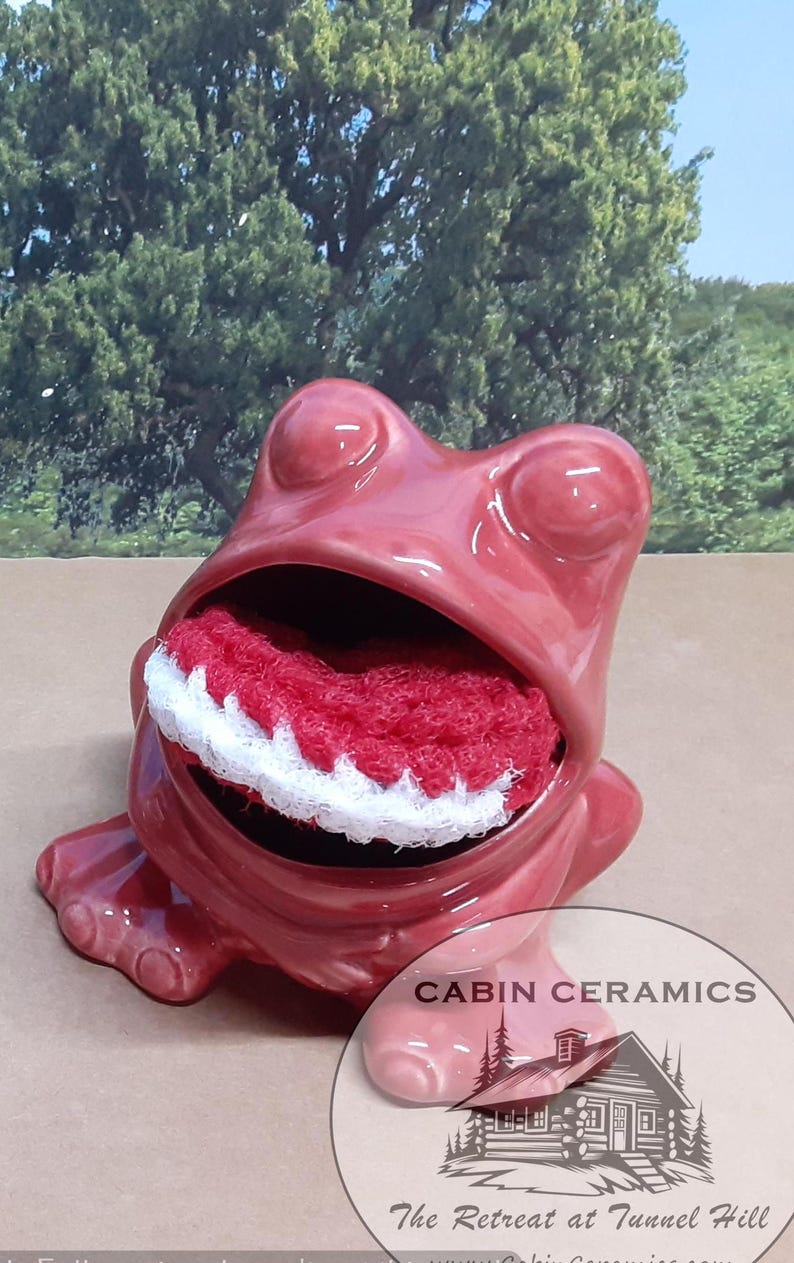 Retro Ceramic Frog With Scrubby - Etsy