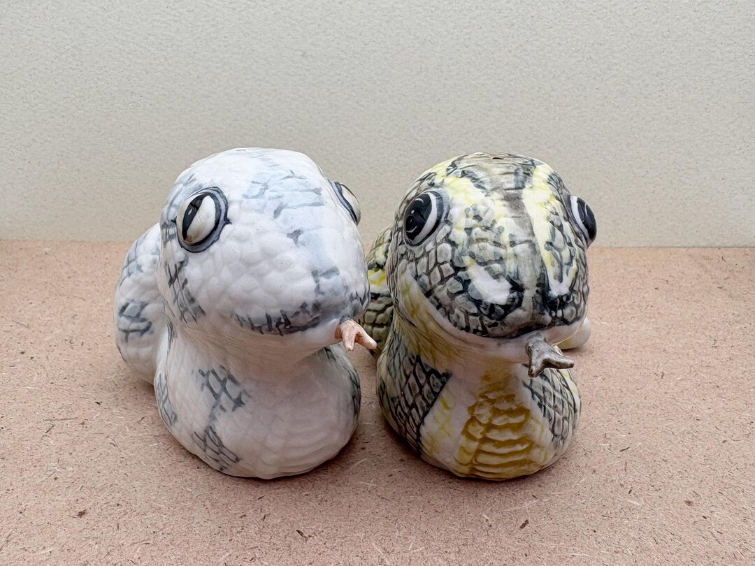 Snake Salt & Pepper Shakers – Handmade Ceramic Figurine – Quirky ...